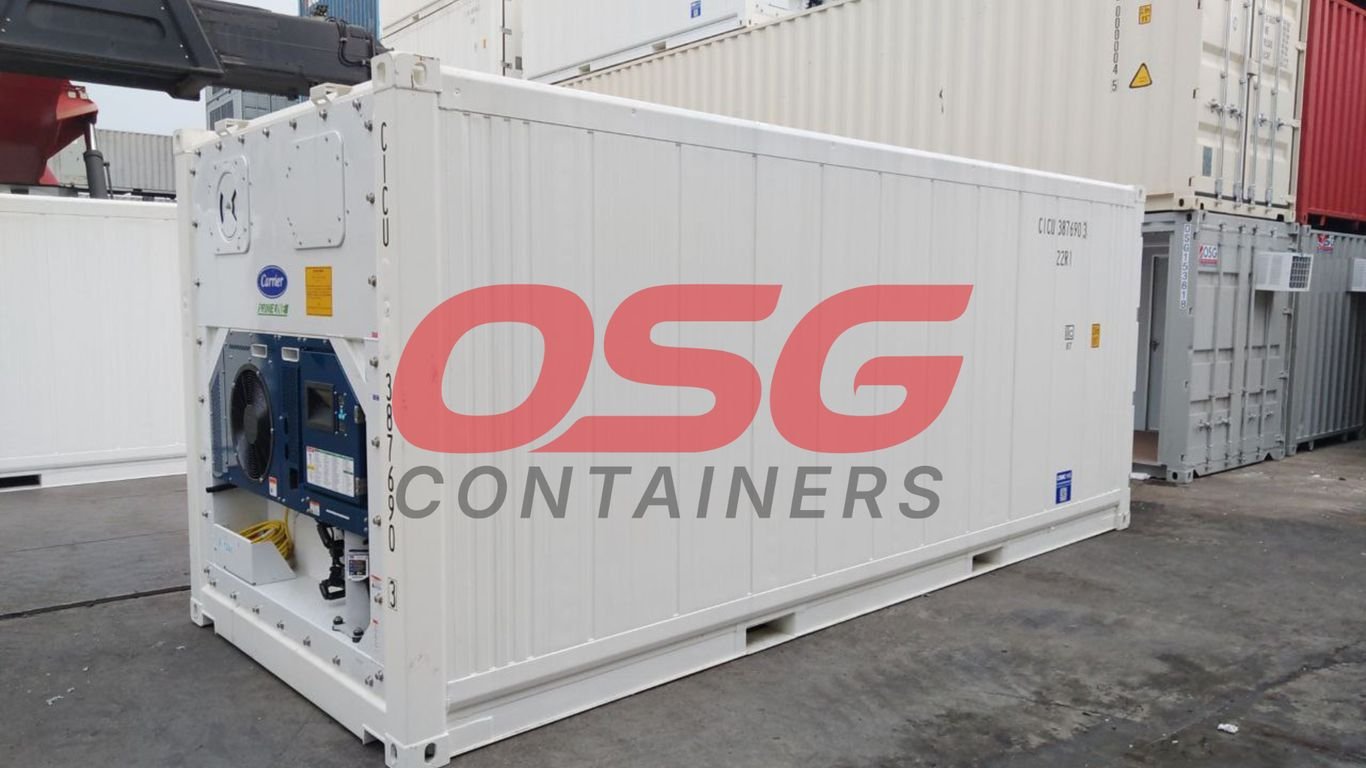 Reefer Containers Explained: Cost, Temperature Control, and Real-World ...